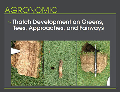 GOLF COURSE SUPERINTENDENT CAREER MATERIALS - Resumes, Websites ...